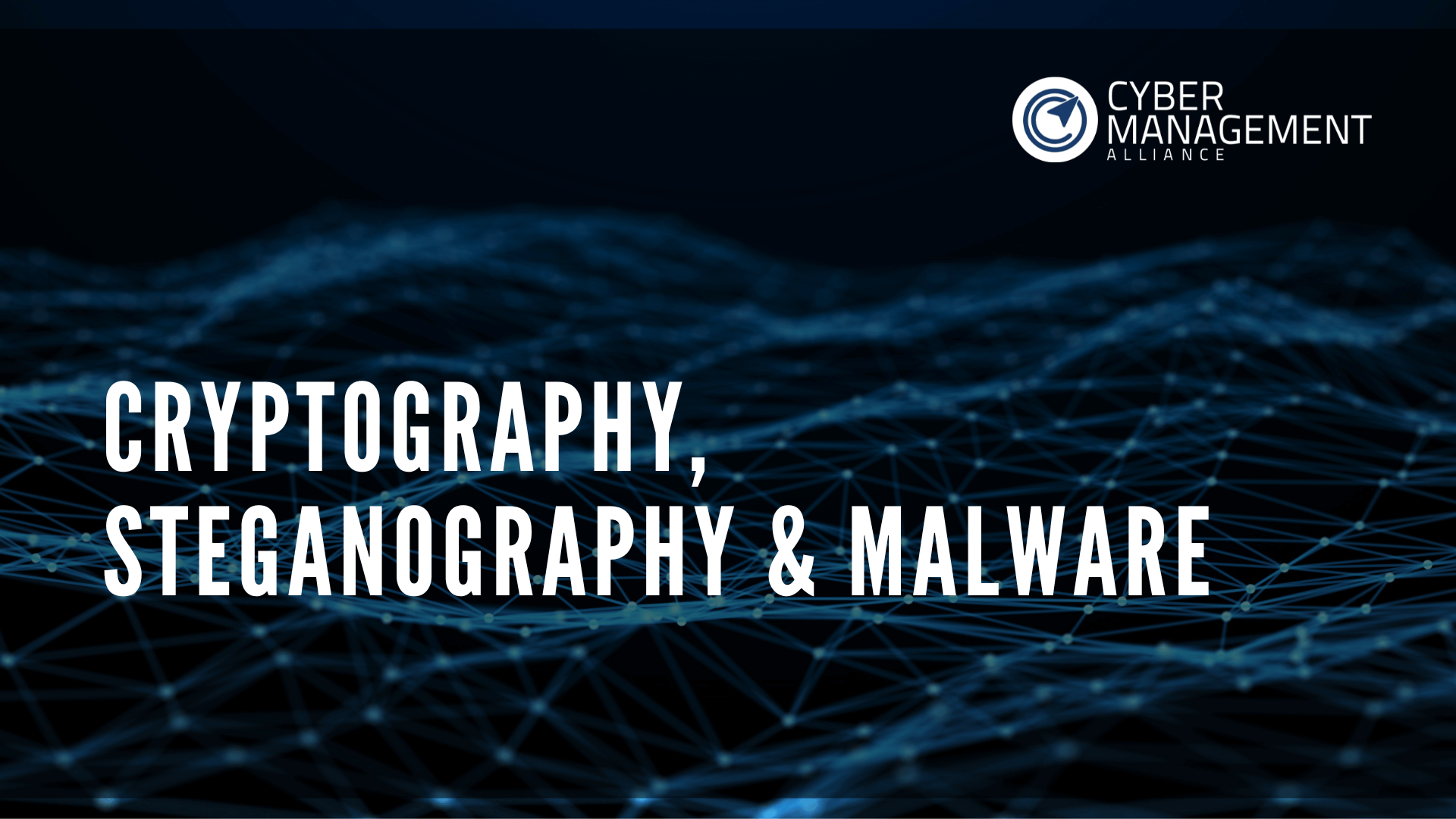 Cryptography, Steganography and Malware Course