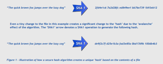 Understanding How File Integrity Monitoring Works?
