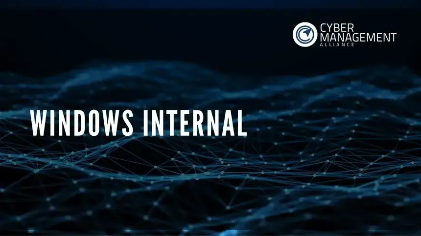 Windows Internals Training Course